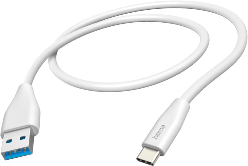 Acheter Câble USB Hama type C - A, 1,5 m (00201596)