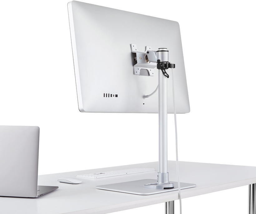 Buy StarTech Stand Monitor Mount (ARMPIVSTND)