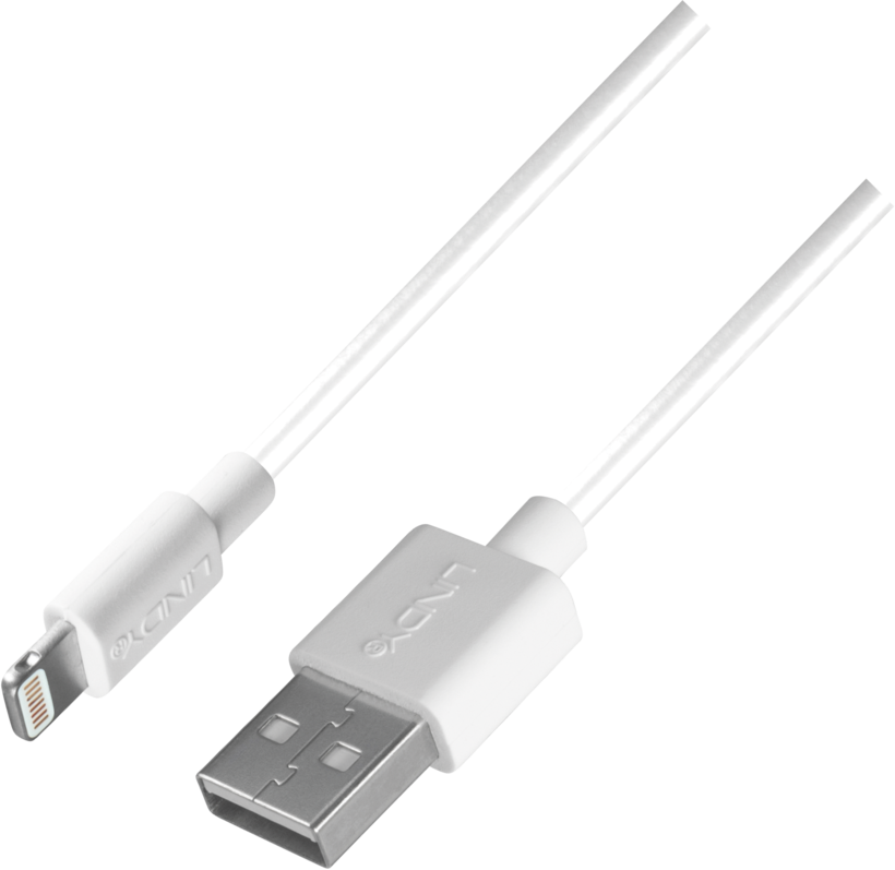 Buy Lindy Usb A To Lightning Cable 1m 31326