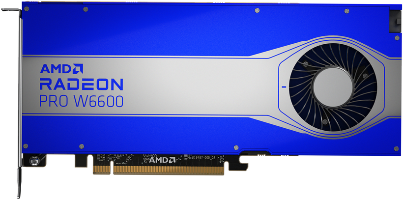 Buy HP AMD Radeon Pro W6600 Graphics Card (340K5AA)
