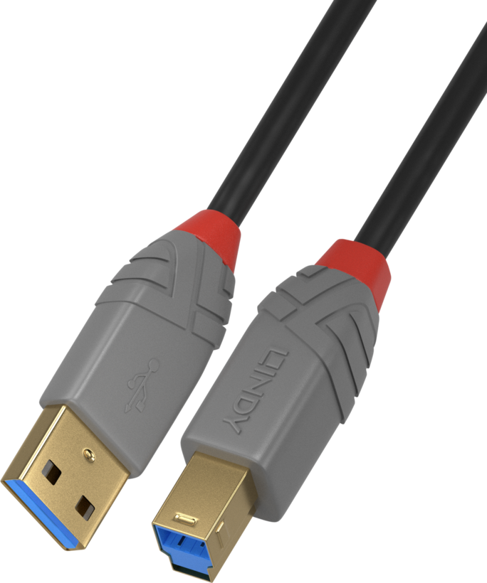 Buy Lindy Usb A To Usb B Cable 05m 36740