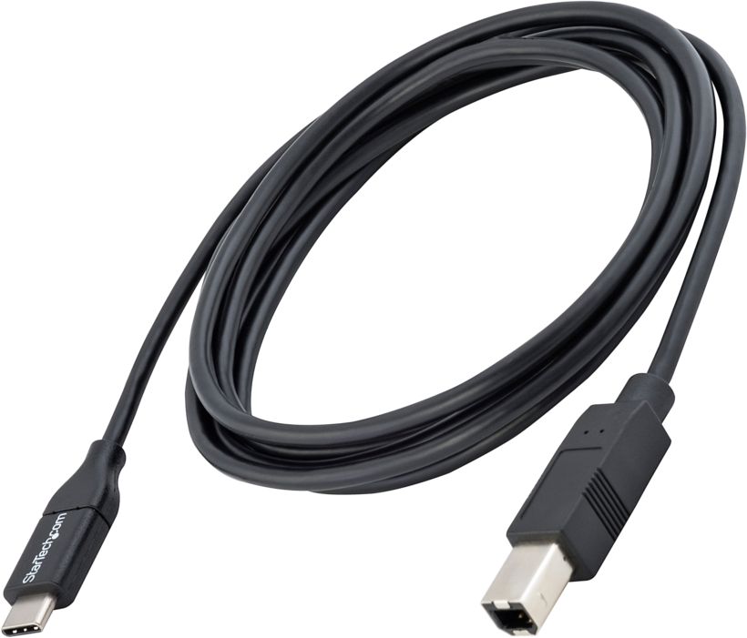 Buy StarTech USB Type-C - B Cable 2m (USB2CB2M) Buy StarTech USB Type-C - B Cable 2m (USB2CB2M)