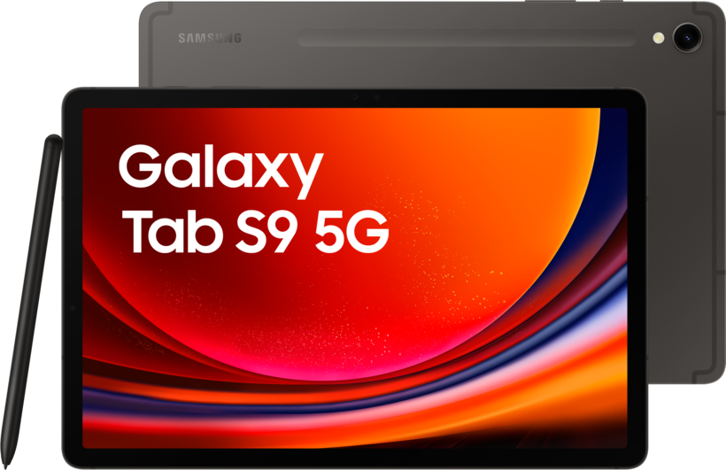 Buy Samsung Galaxy Tab S9 5G 256GB Graphite (SM-X716BZAEEUB)