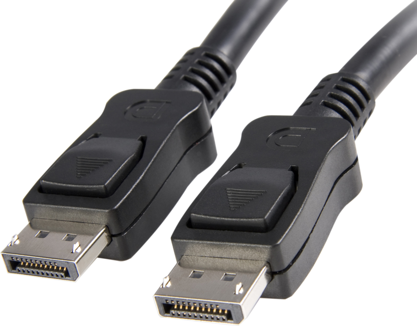 Buy StarTech DisplayPort Cable 1.8m (DISPLPORT6L)
