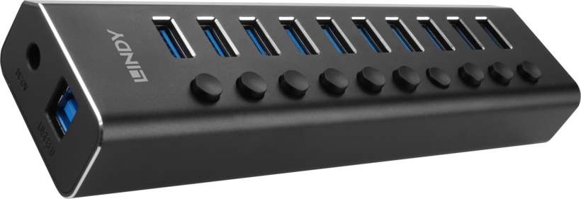 Buy LINDY USB Hub 3.0 10-port + Switch (43370)