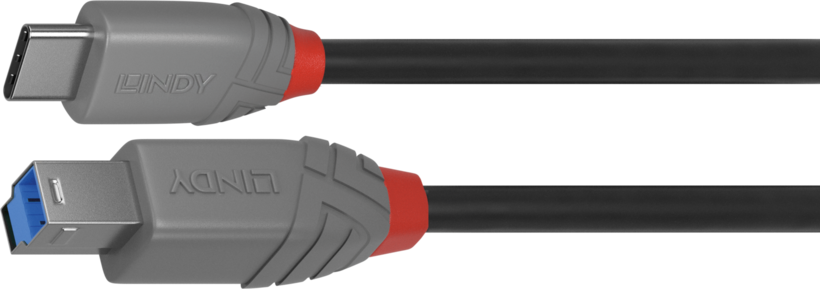 LINDY USB Typ C - B Kabel 1 m (36666) kaufen