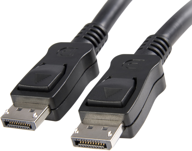 Buy StarTech DisplayPort Cable 3m (DISPLPORT10L)